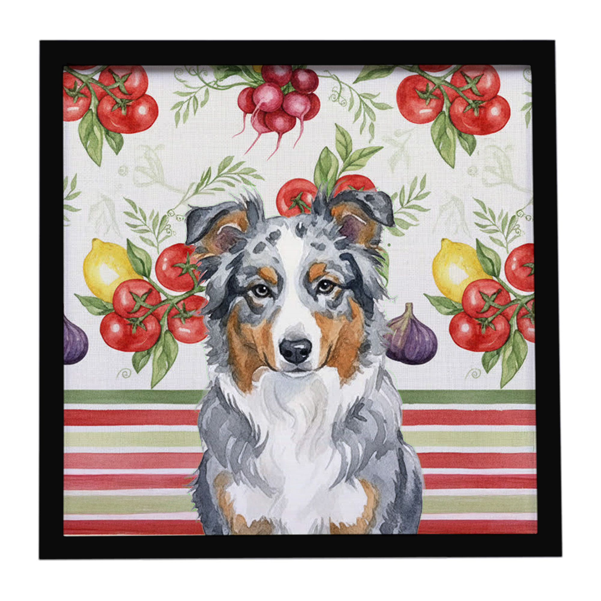 Caroline's Treasures Blue Merle American Shepherd Vegetables Framed ...