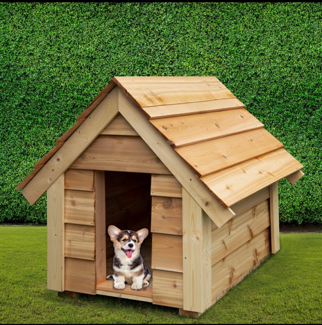 Tucker Murphy Pet™ Benedetic Light Brown Wood Dog House - Wayfair Canada