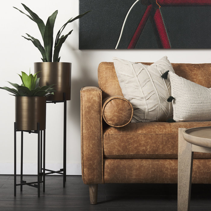 Joss & Main Lancel Plant Stand & Reviews | Wayfair