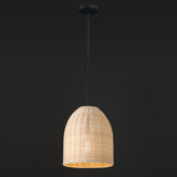 Single Pendant Lights | Wayfair
