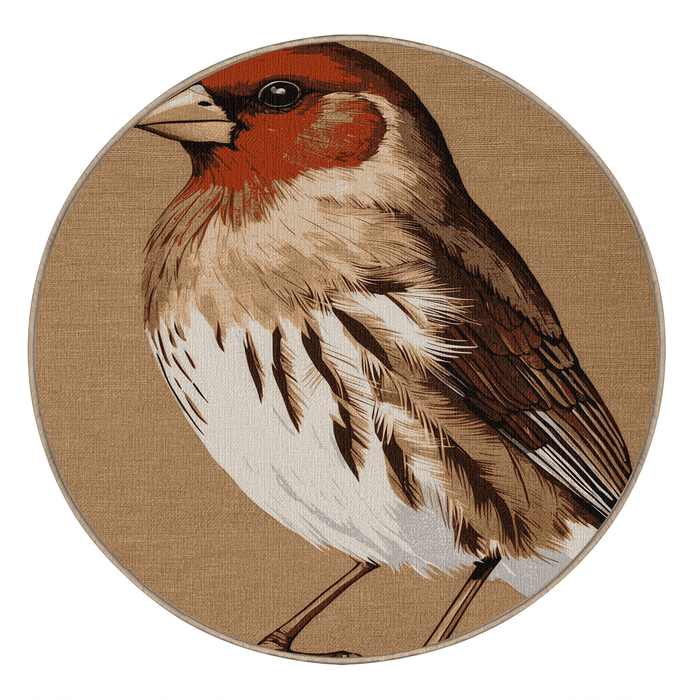 Bayou Breeze Washable House Finch Birds Area Rug | Wayfair