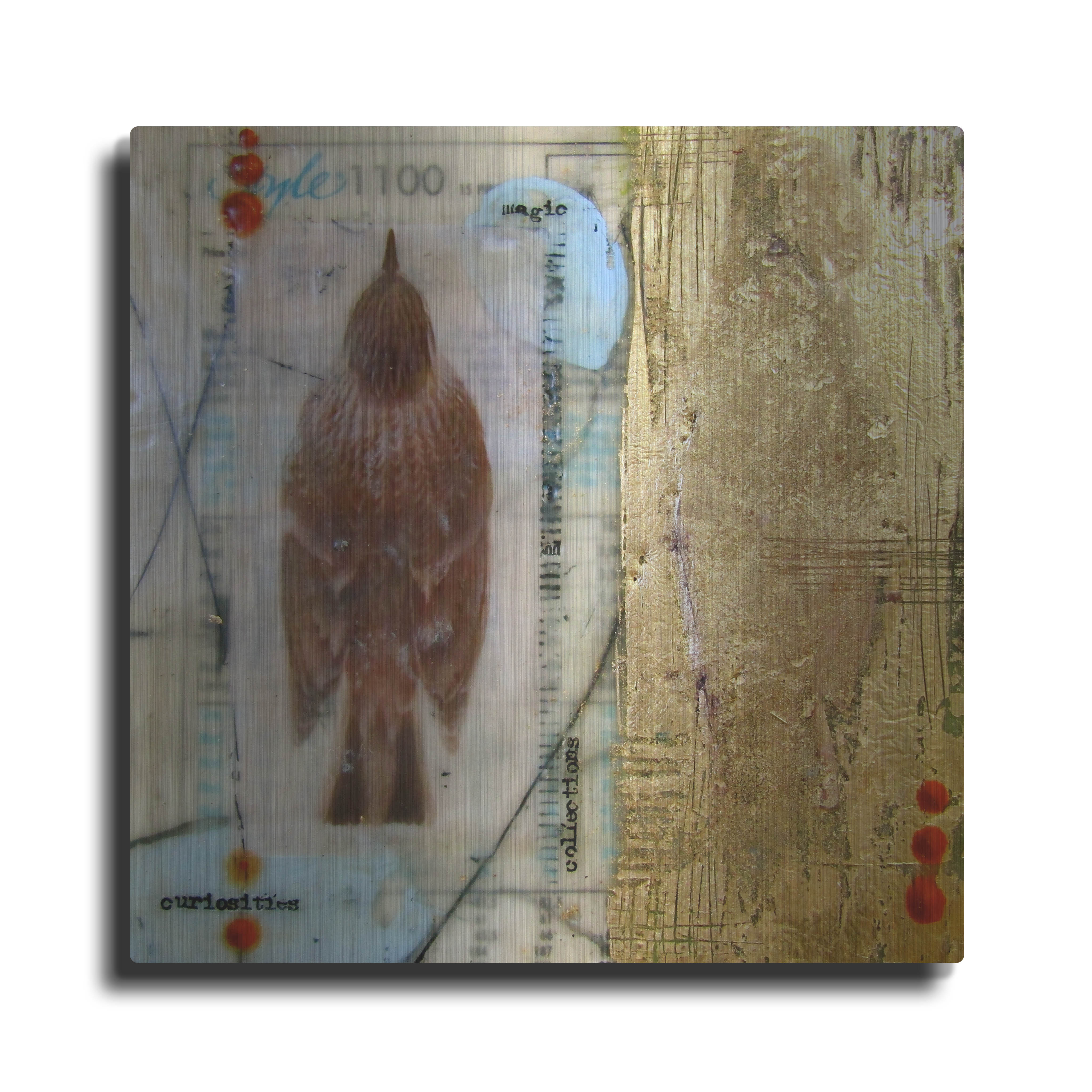 Winston Porter 'Oddities' by LovIsArt, Metal Wall Art, 12"x12 ...