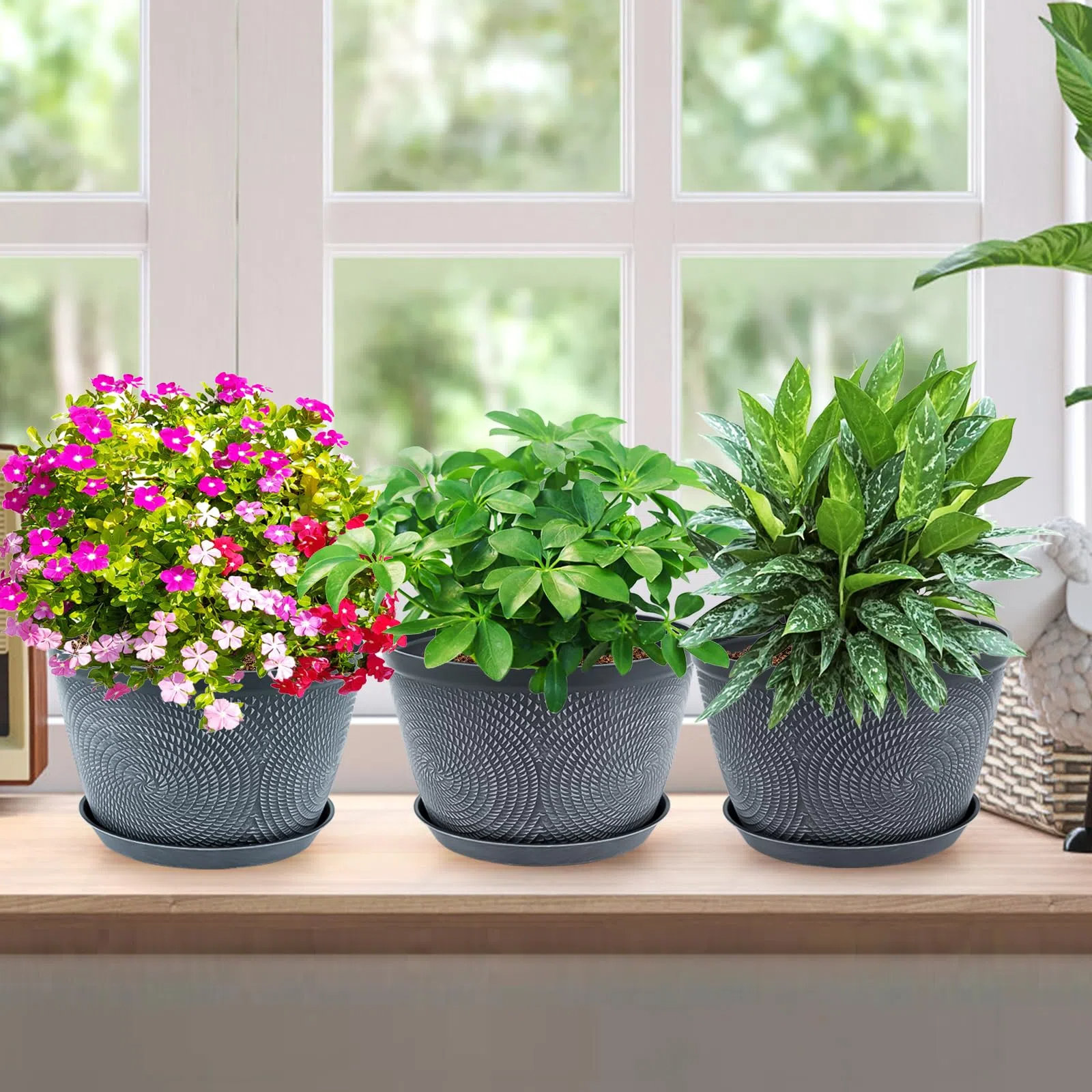 Dakota Fields 3 Pack Plastic Plant Pots | Wayfair