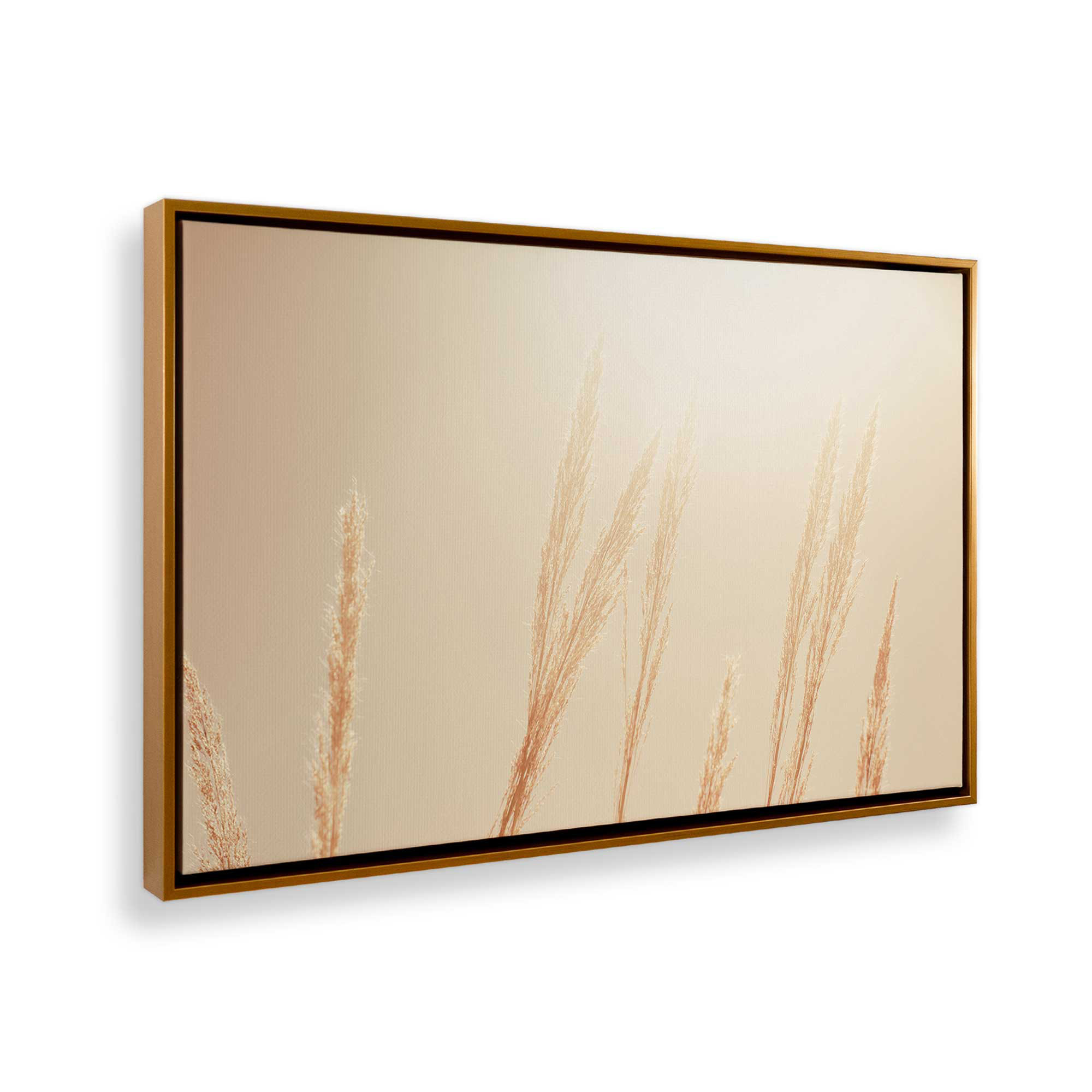 Latitude Run® Basking in Light Canvas Print in a Frame | Wayfair