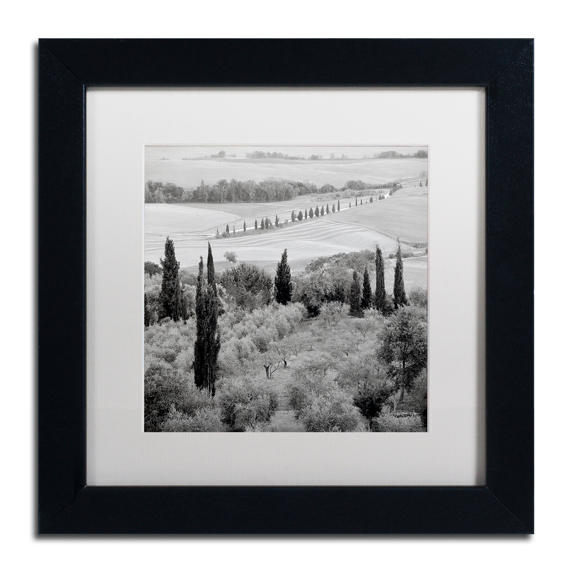 Ebern Designs Alan Blaustein 'Tuscany VI' Framed Photographic Print ...