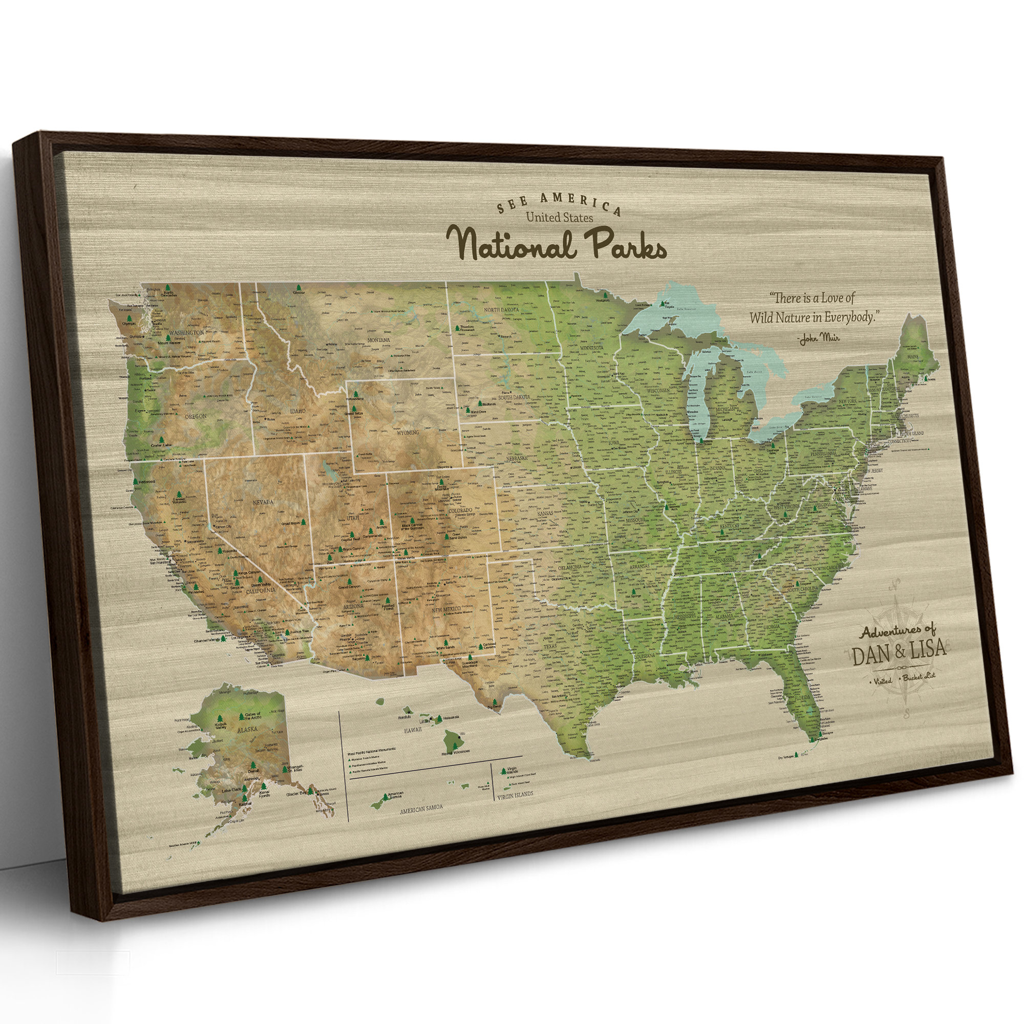 Holy Cow Canvas National Parks & Monuments USA Push Pin Map - Framed ...