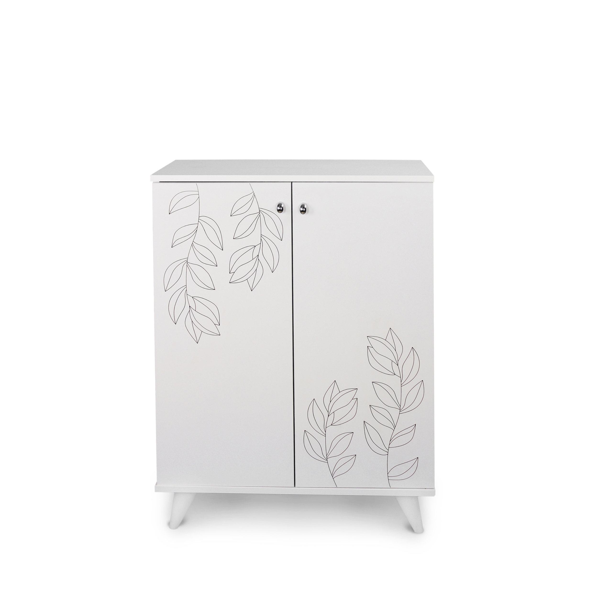 Red Barrel Studio Valeria Wood Base Shoe Cabinet for Elegant Shoe ...