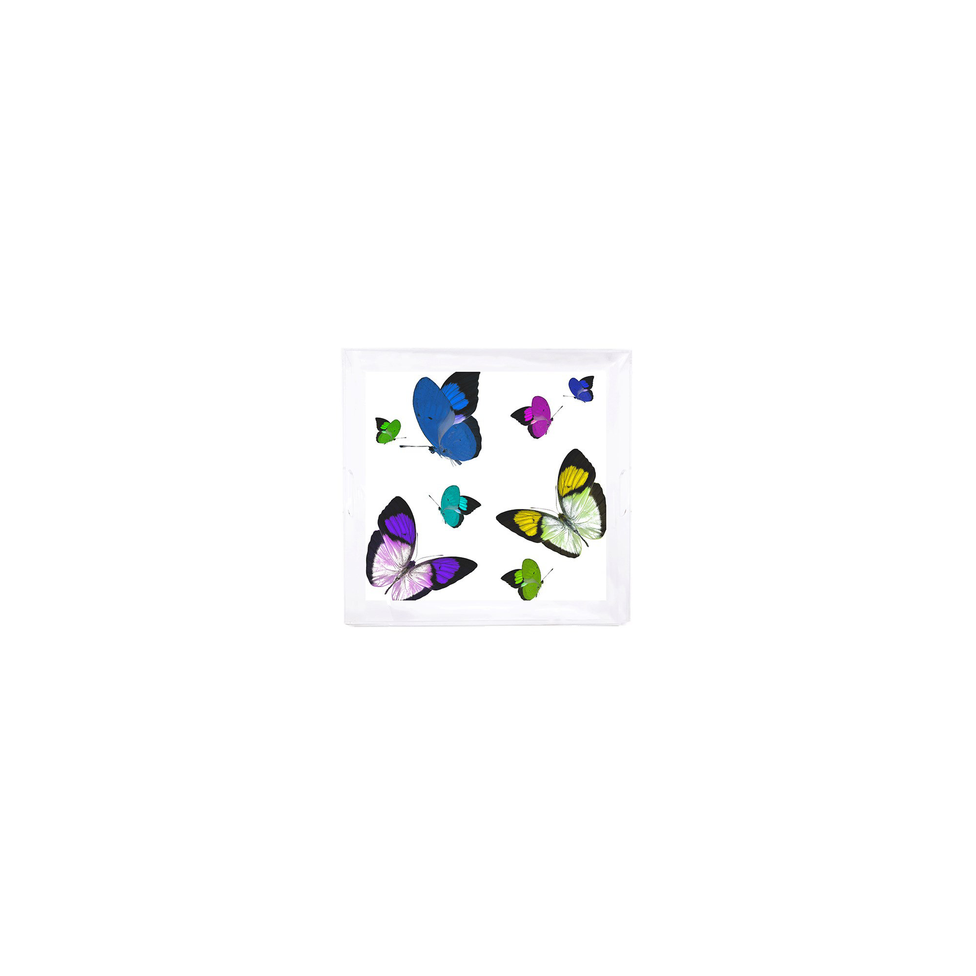 Nicolette Mayer Butterflies Acid Acrylic Square Decorative Tray ...