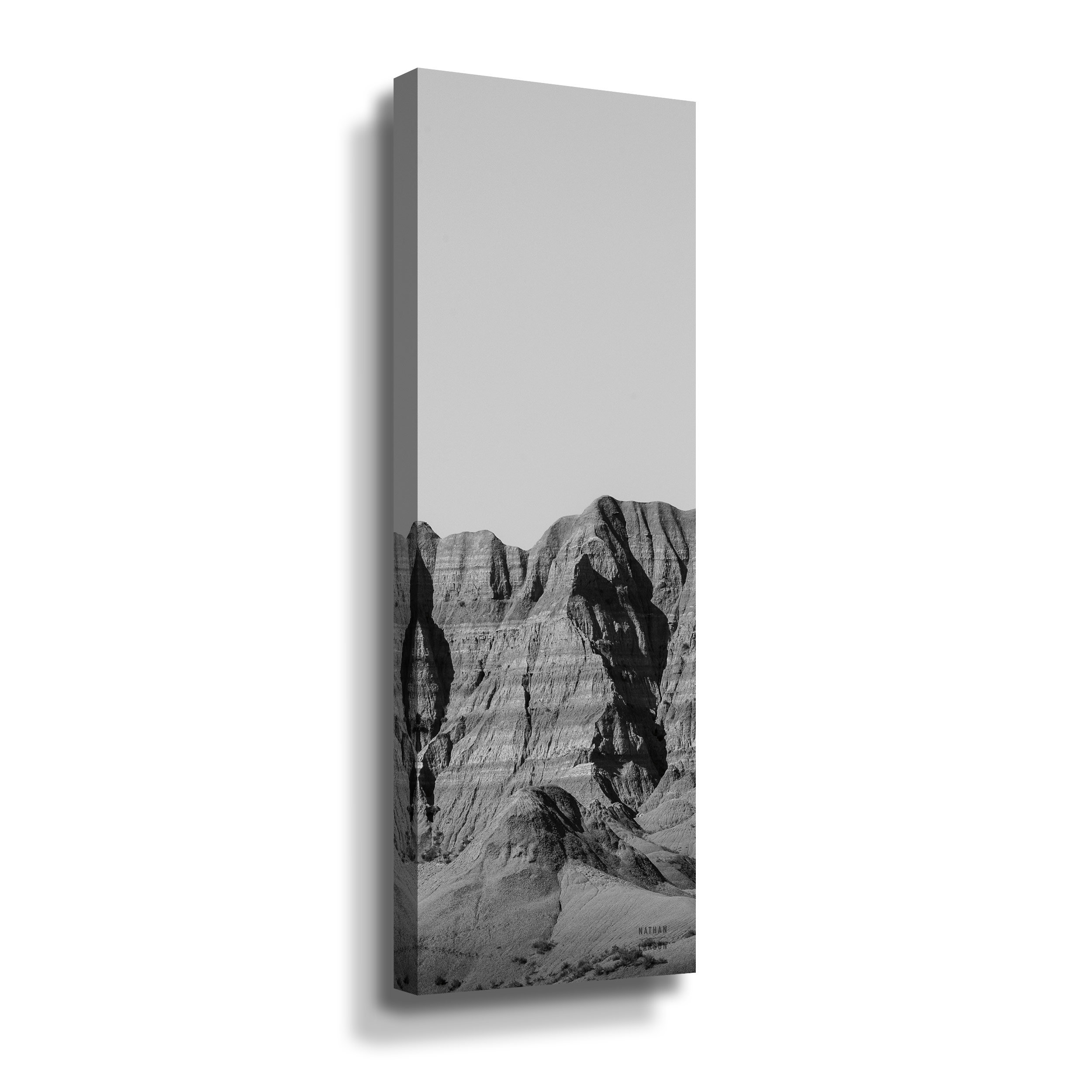 Millwood Pines " Badlands BW Panel " | Wayfair