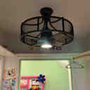 Hunter Fan 24" Seattle 4 - Blade Caged Ceiling Fan with Wall Control ...