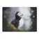 East Urban Home Atlantic Puffin Birds Vol.7 Paint Splash Chopping Board ...