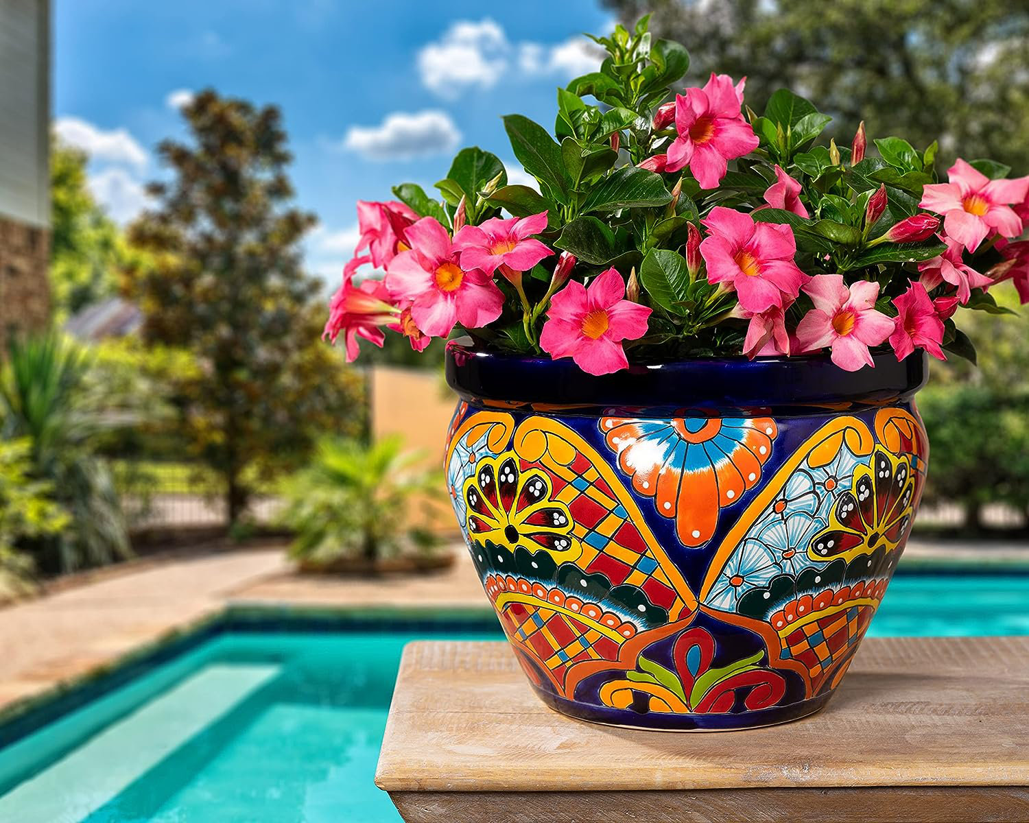 Arlmont & Co. Normalie Handmade Mexican Talavera Ceramic Flower Plant ...