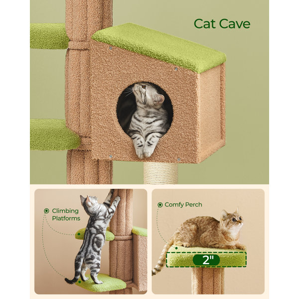 Archie & Oscar™ 43.31'' H Timms Cat Tree & Reviews | Wayfair