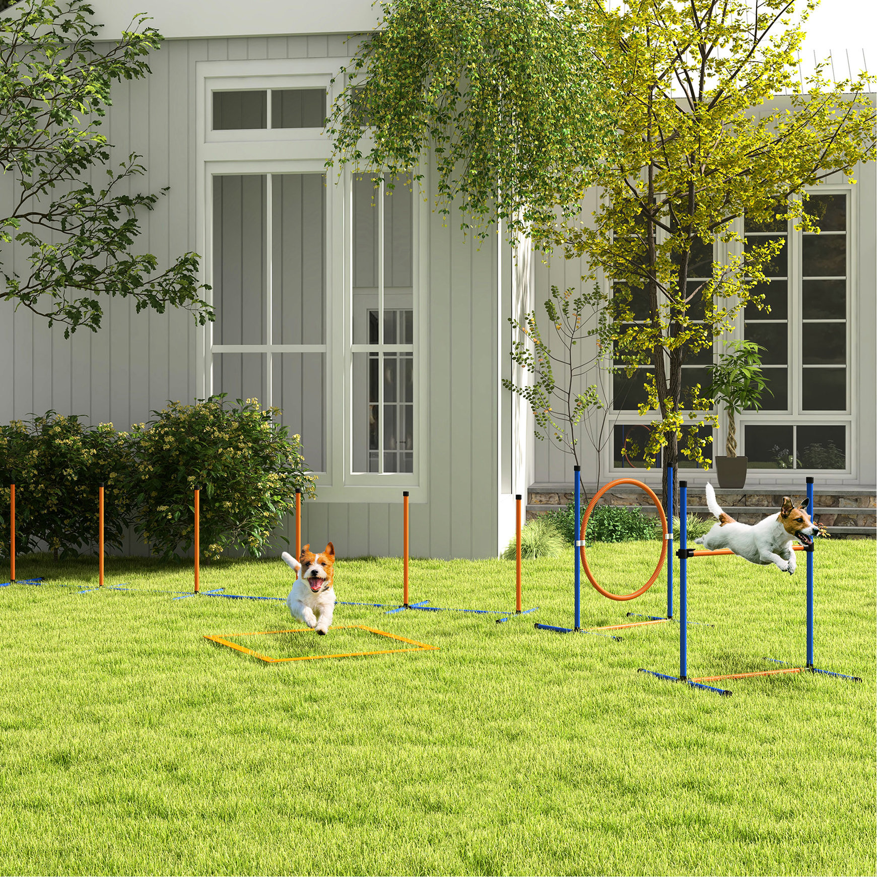 Tucker Murphy Pet™ Dog Agility Training Gear, 4 With Weave Poles ...