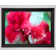 Bright Star Spikey Flower Heads - Single Picture Frame Art Prints ...