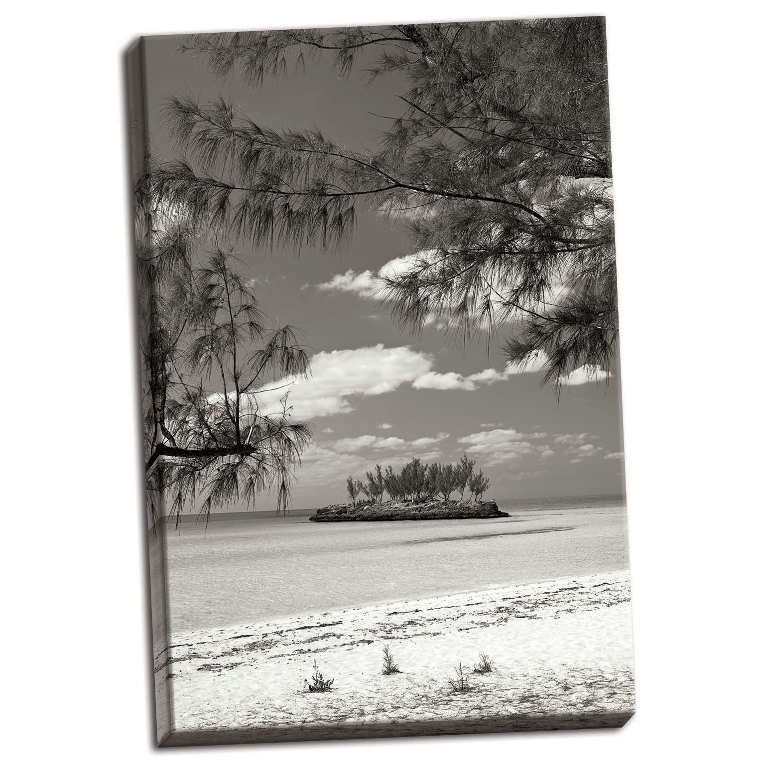 Highland Dunes 'Gaulding Cay Island' Photographic Print on Wrapped ...