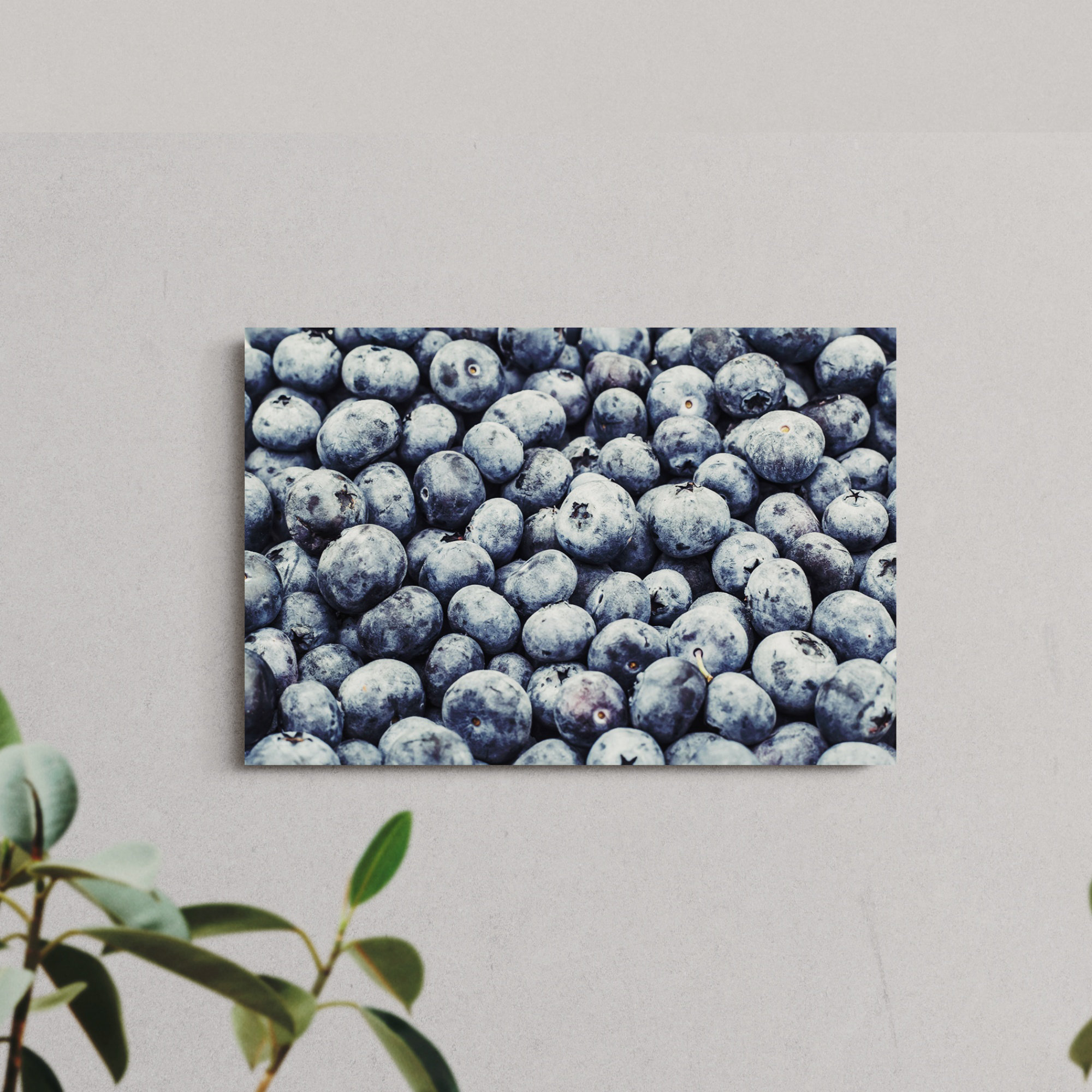 Hokku Designs Fresh Blueberries for Kitchen Decor | Wayfair