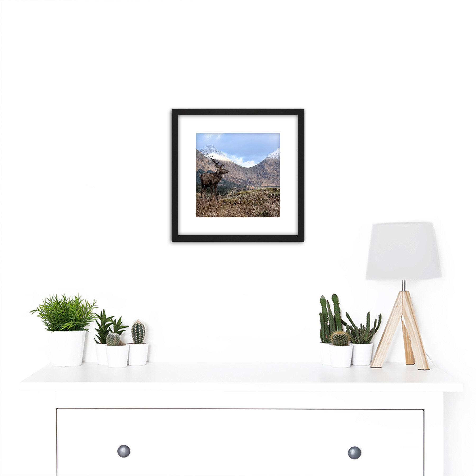 Alpen Home Andrewmckie Red Deer Stag Glen Etive Scotland Photo ...