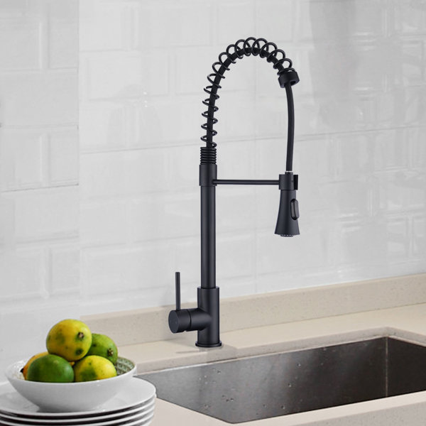 HHK HOME Kitchen Faucet - Wayfair Canada