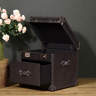 HUGESTO Small Black Simple Faux Leather Accent Trunk | Wayfair