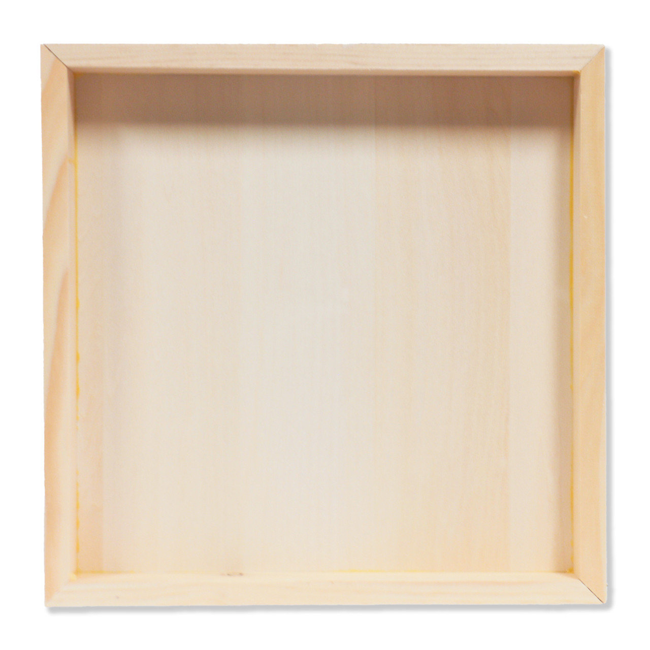 Wilson Enterprises, Inc. Wilson Basswood Canvas/ Shadow Box Kit (12"x ...