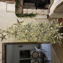 The Holiday Aisle® Johvan Deluxe Pre-Lit Slender Flocked Realistic Fir ...