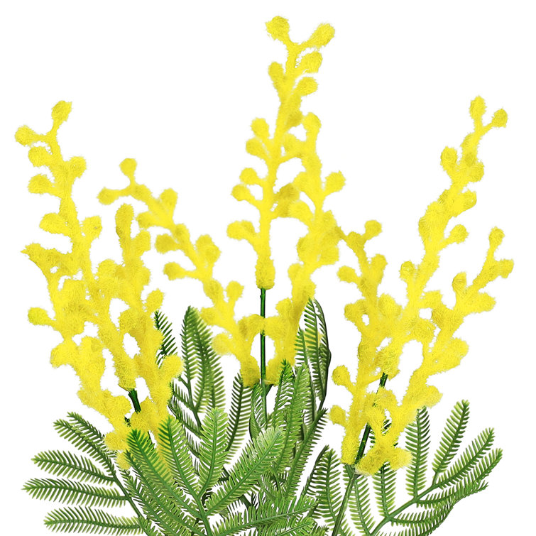 Primrue Acacia Mimosa Spray - Wayfair Canada