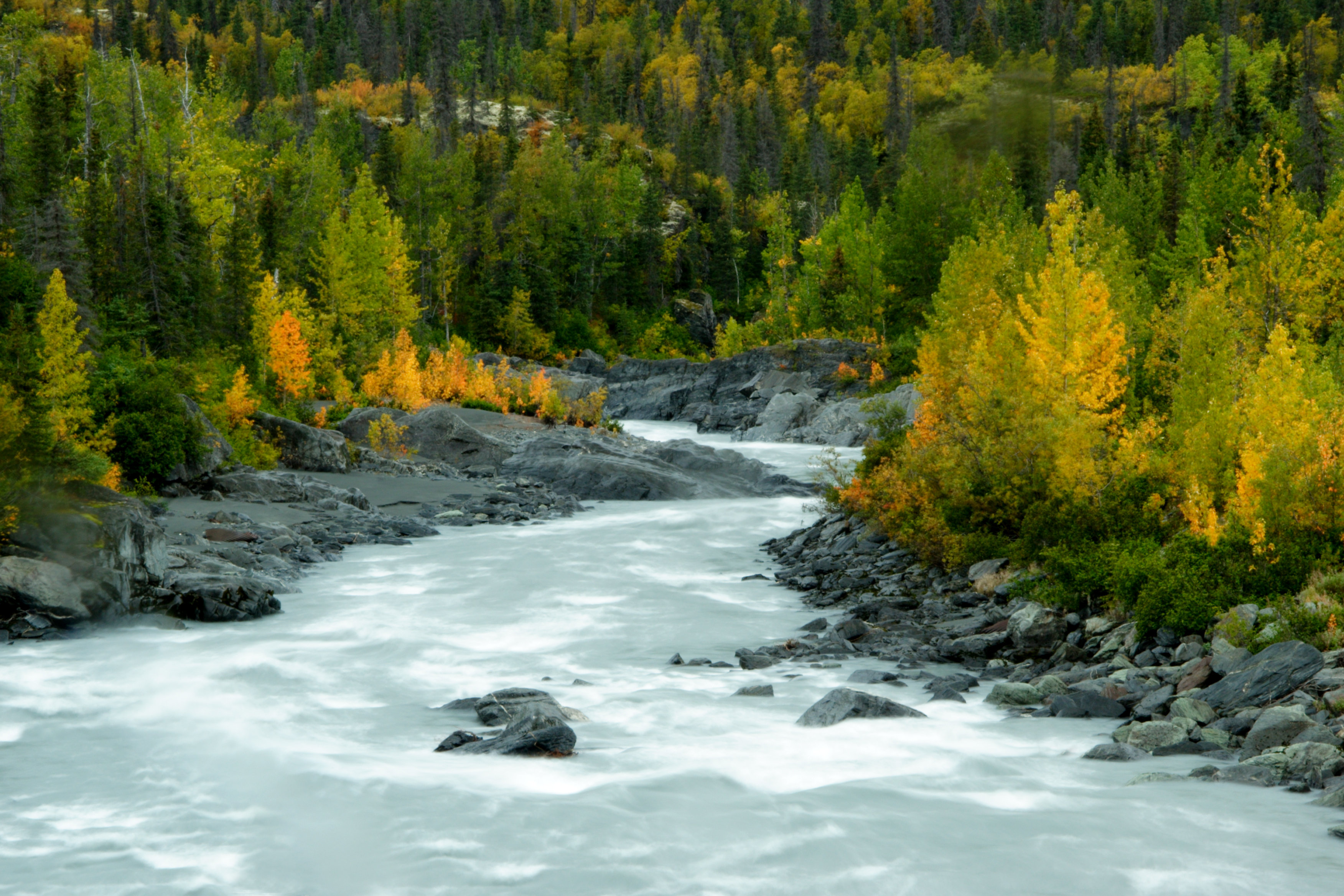 Millwood Pines A River Stream by Romko Chuk Wrapped Canvas Photograph ...
