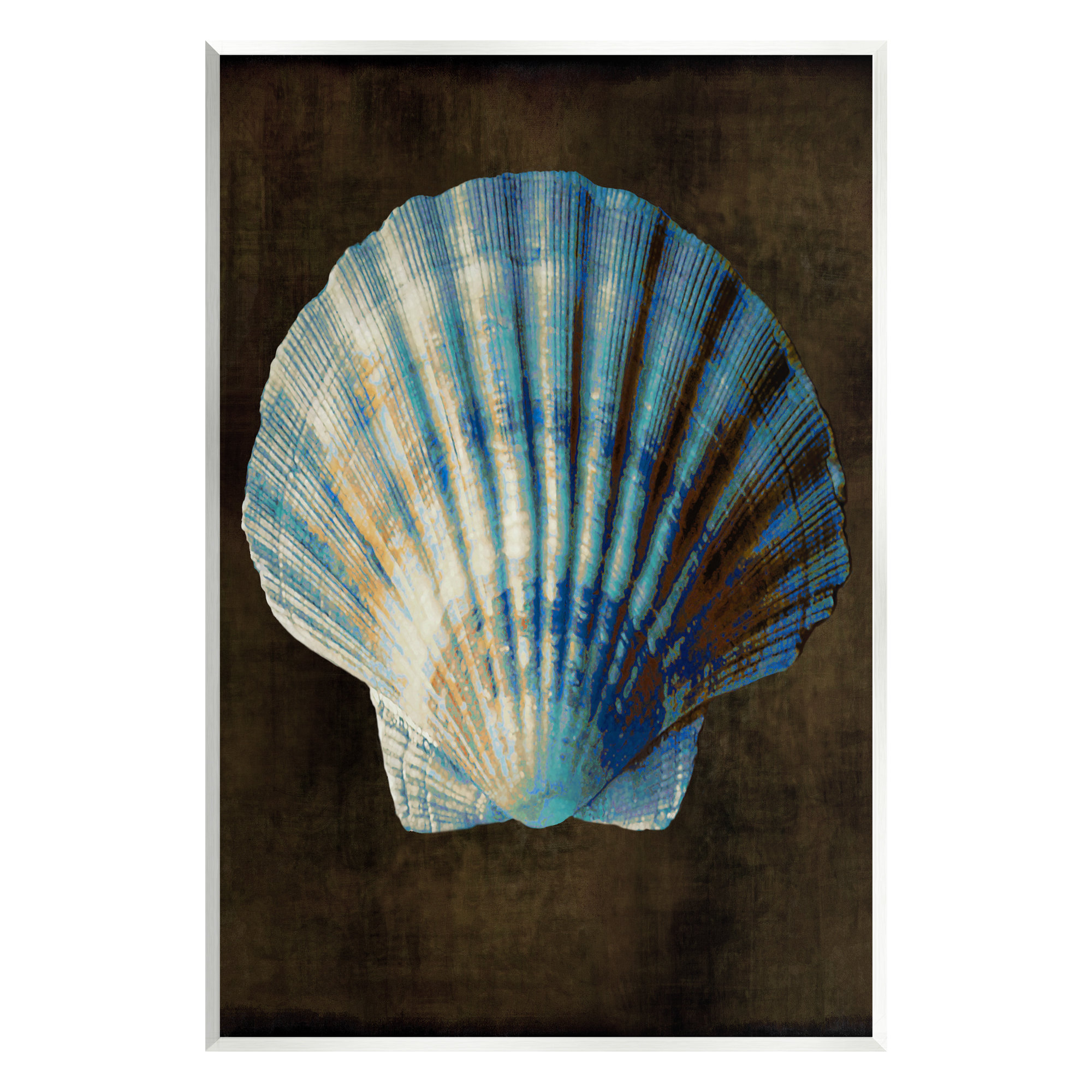 Stupell Industries Dark Clam Shell Wall Plaque Art by Caroline Kelly ...