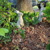 Wind & Weather Bunny / Rabbit Animals Garden Statue & Reviews | Wayfair