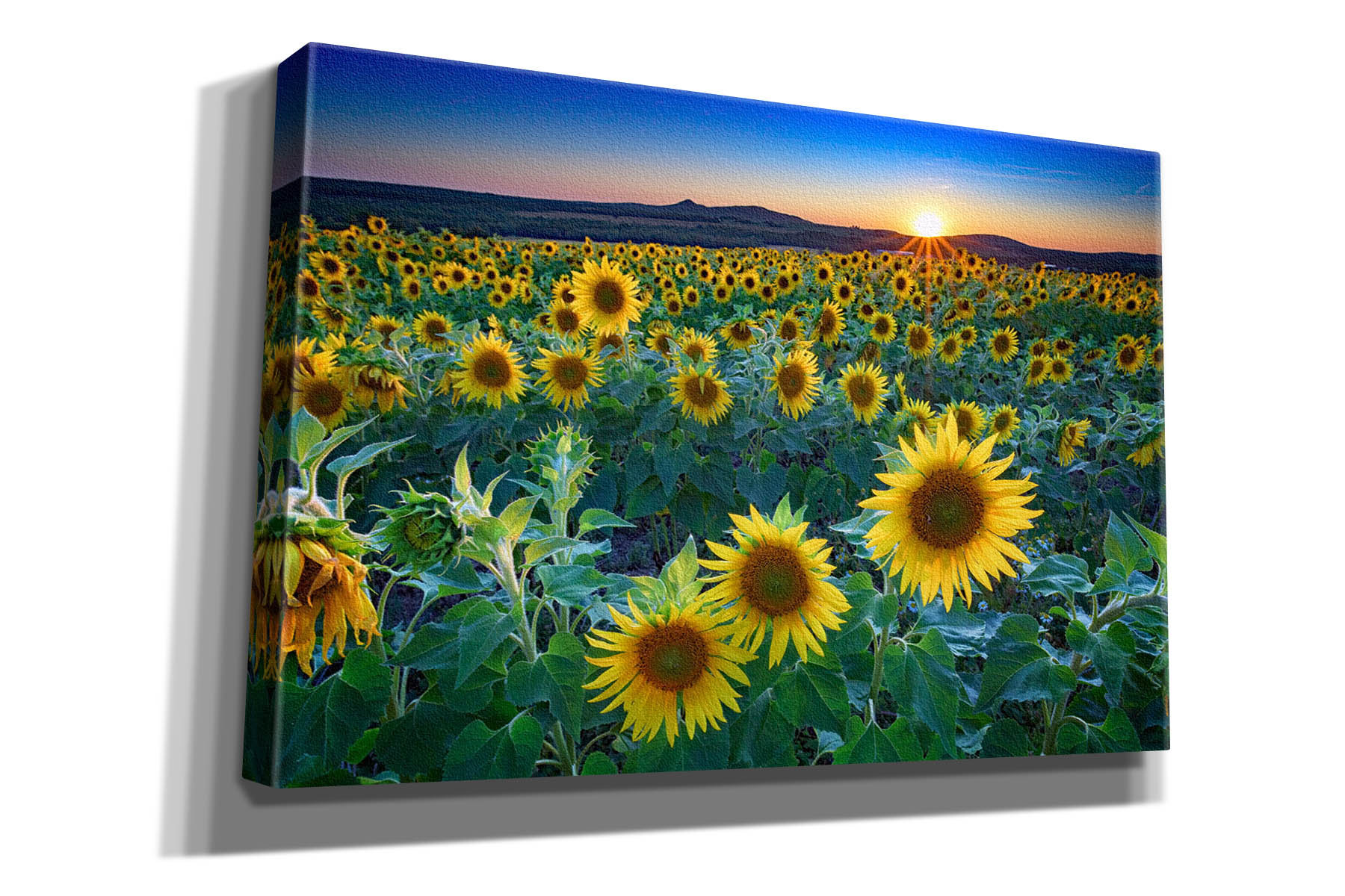 Epic Graffiti 'Sunset In Aroostook County' by Rick Berk Canvas Wall Art ...