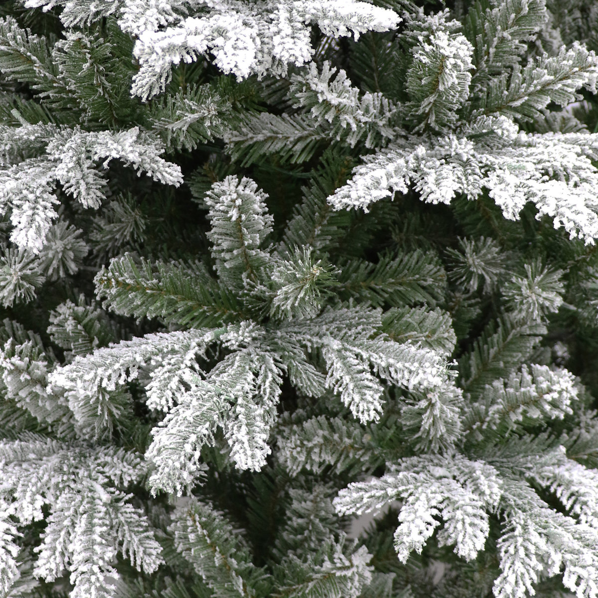 The Holiday Aisle® 7.5' Pre-Lit Flocked Alaskan Winter Fir Tree With ...