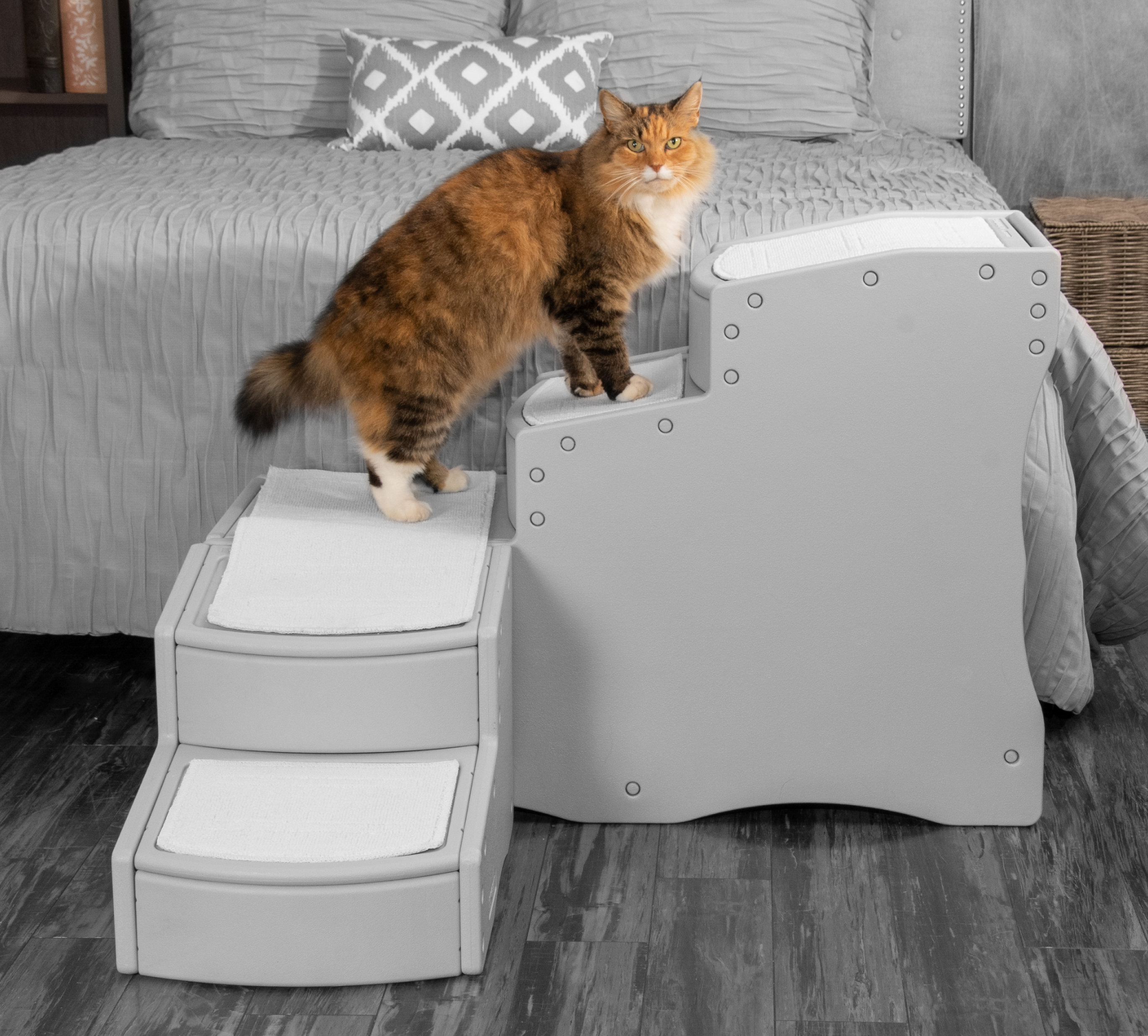 Pet Gear Easy 4 Step Pet Stair & Reviews - Wayfair Canada