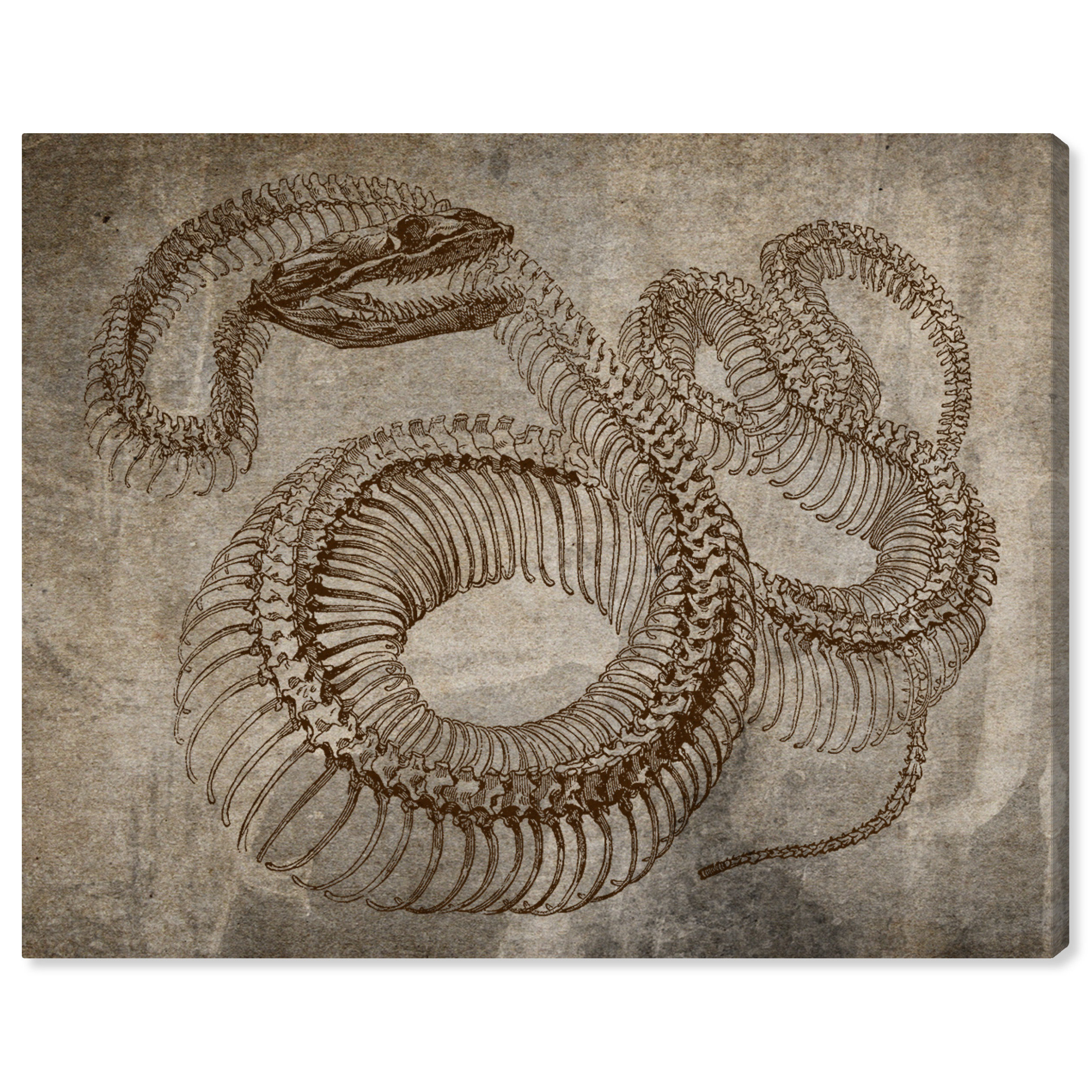 Art Remedy Fantasy and Sci-Fi Basilisk Creature - Painting Print on ...