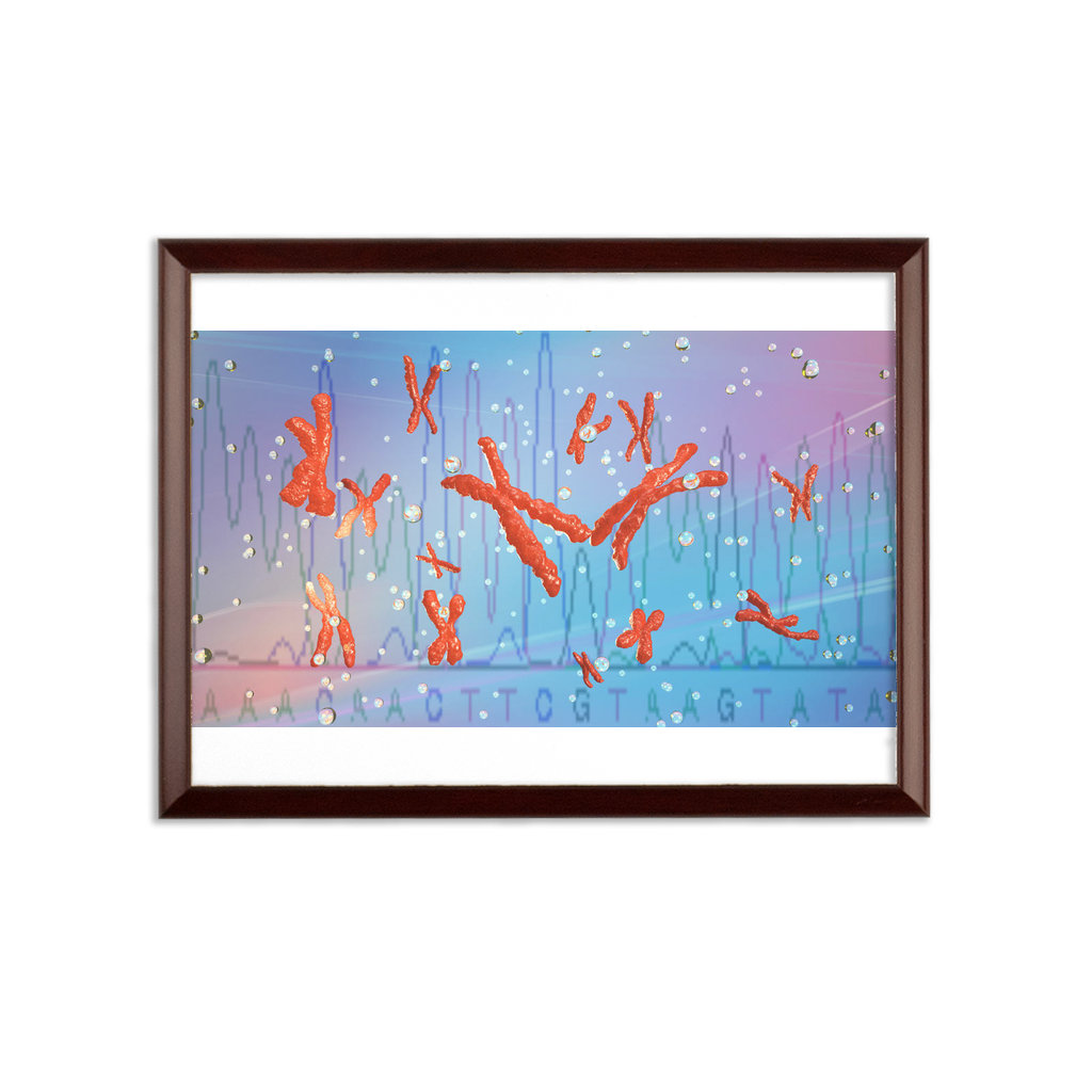 Trinx Chromosomes Sublimation Wall Decor | Wayfair