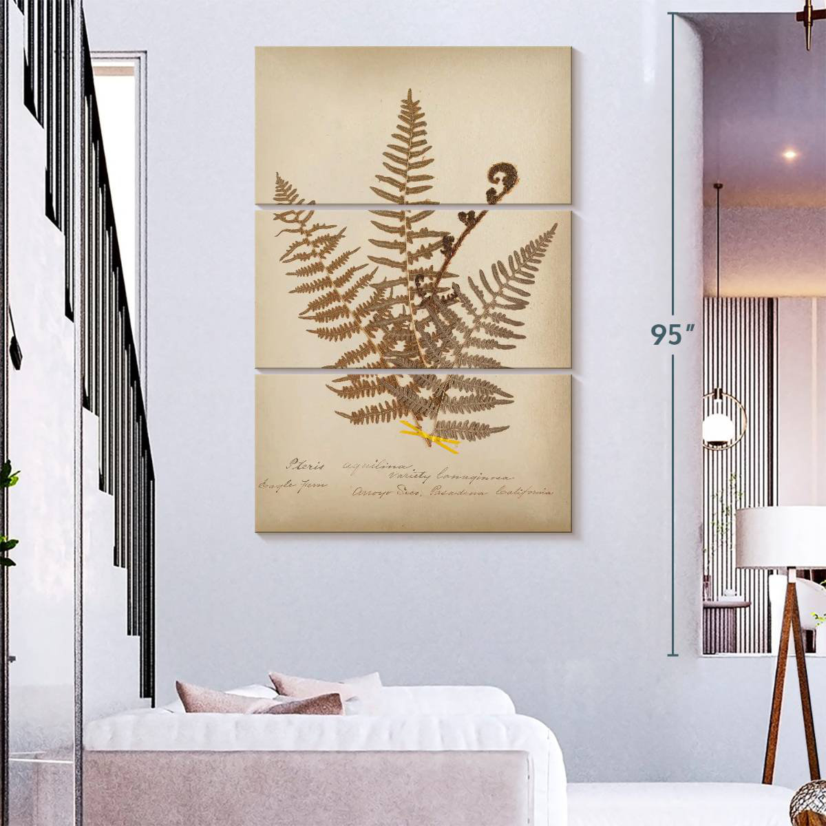 Lark Manor™ Harnek Ferns In Book | Wayfair