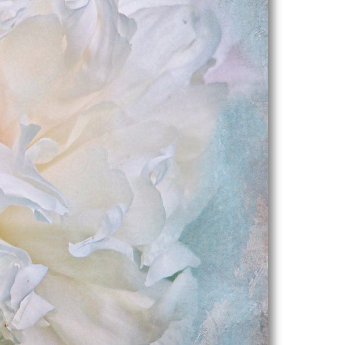 Ebern Designs 'Abstract Peony in Blue' Print on Wrapped Canvas ...