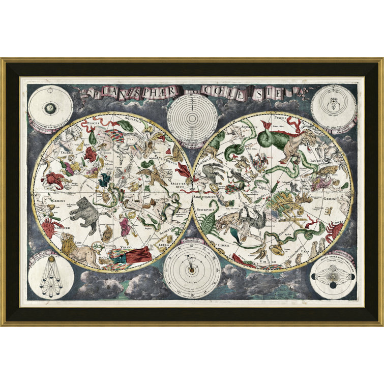 Soicher-Marin Celestial World by David Phoenix | Perigold