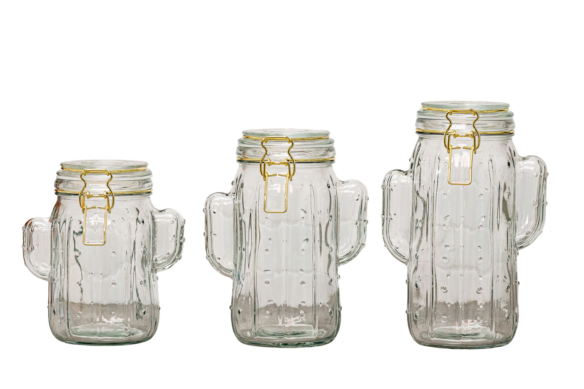 Ten Strawberry Street 10 Strawberry Street Saguaro Hermetic Jar, Set Of ...