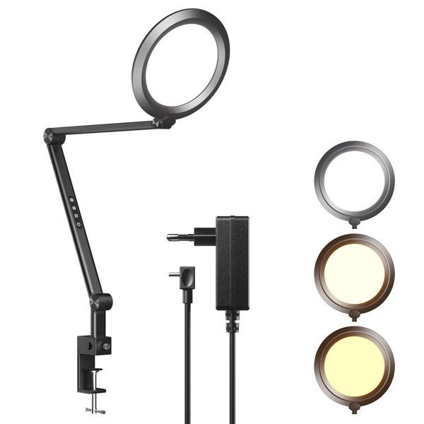 Ivy Bronx Desk Lamp LED With Remote Control, Desk Light For Video ...
