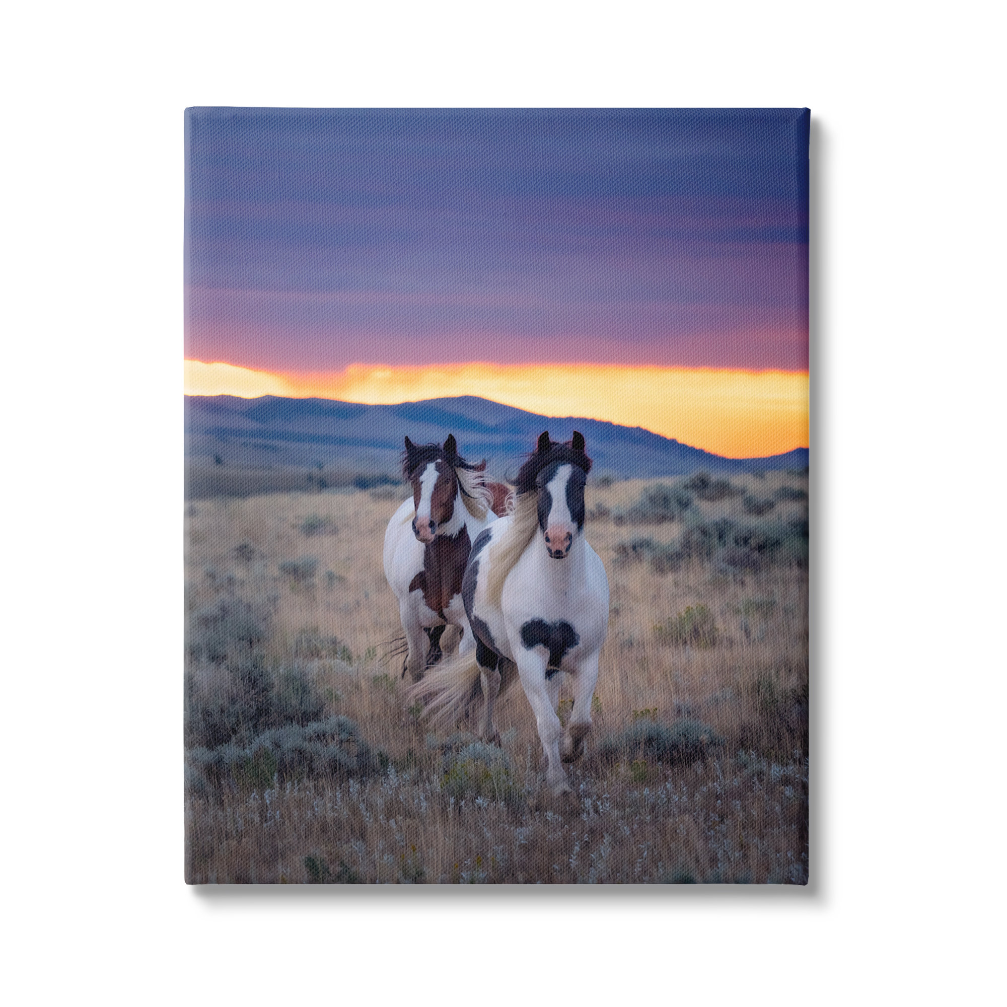 Union Rustic Reproduction de chevaux tachetés au lever du soleil sur ...