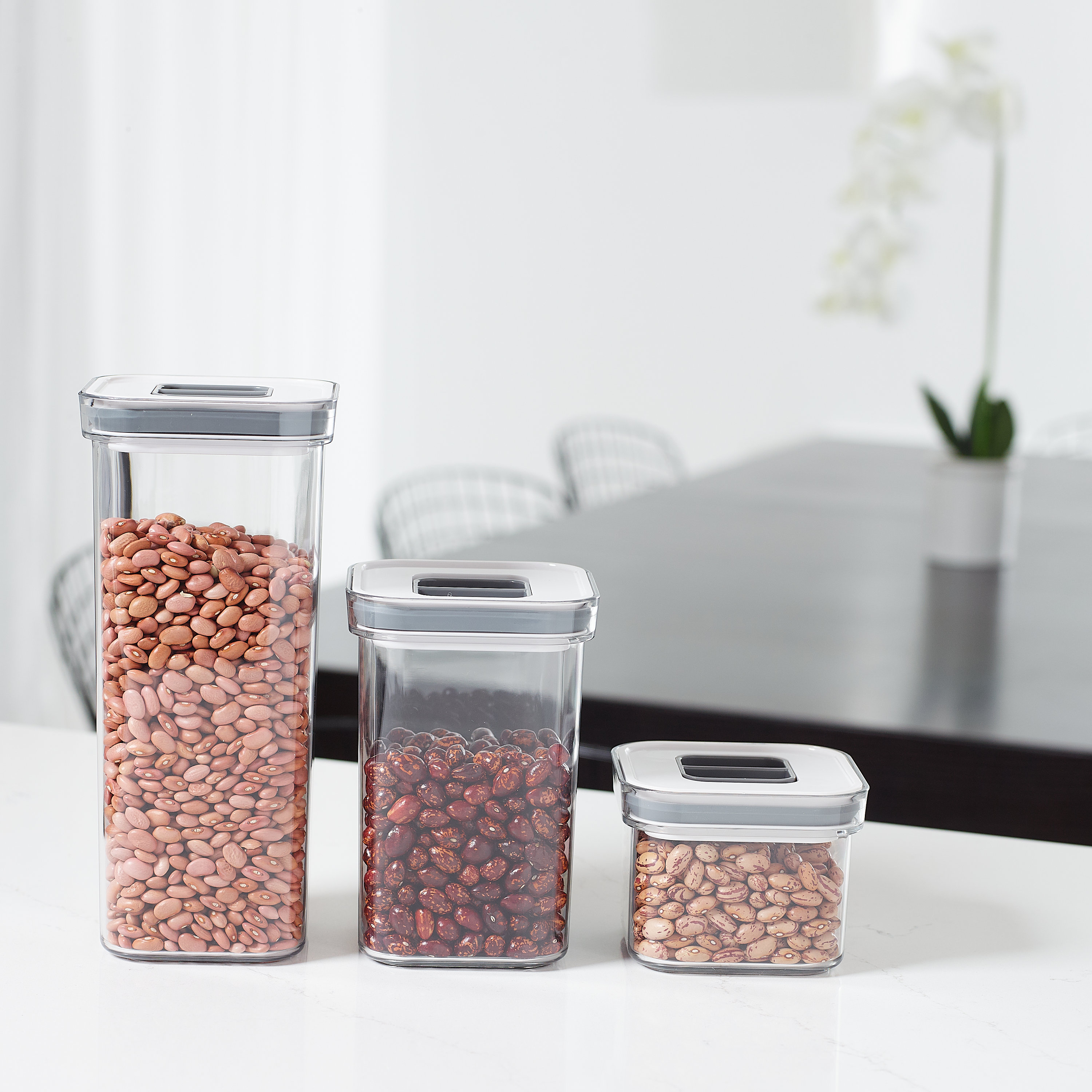 Latitude Run® 3 Piece Food Storage Container Set with Airtight Locking ...
