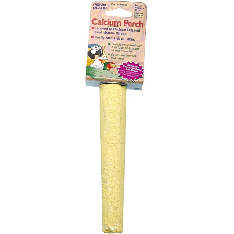 Penn Plax 1.25'' Cement / Sand Bird Perch for Inside Cage - Wayfair Canada