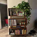 Everly Quinn Camylle Standard Bookcase & Reviews | Wayfair