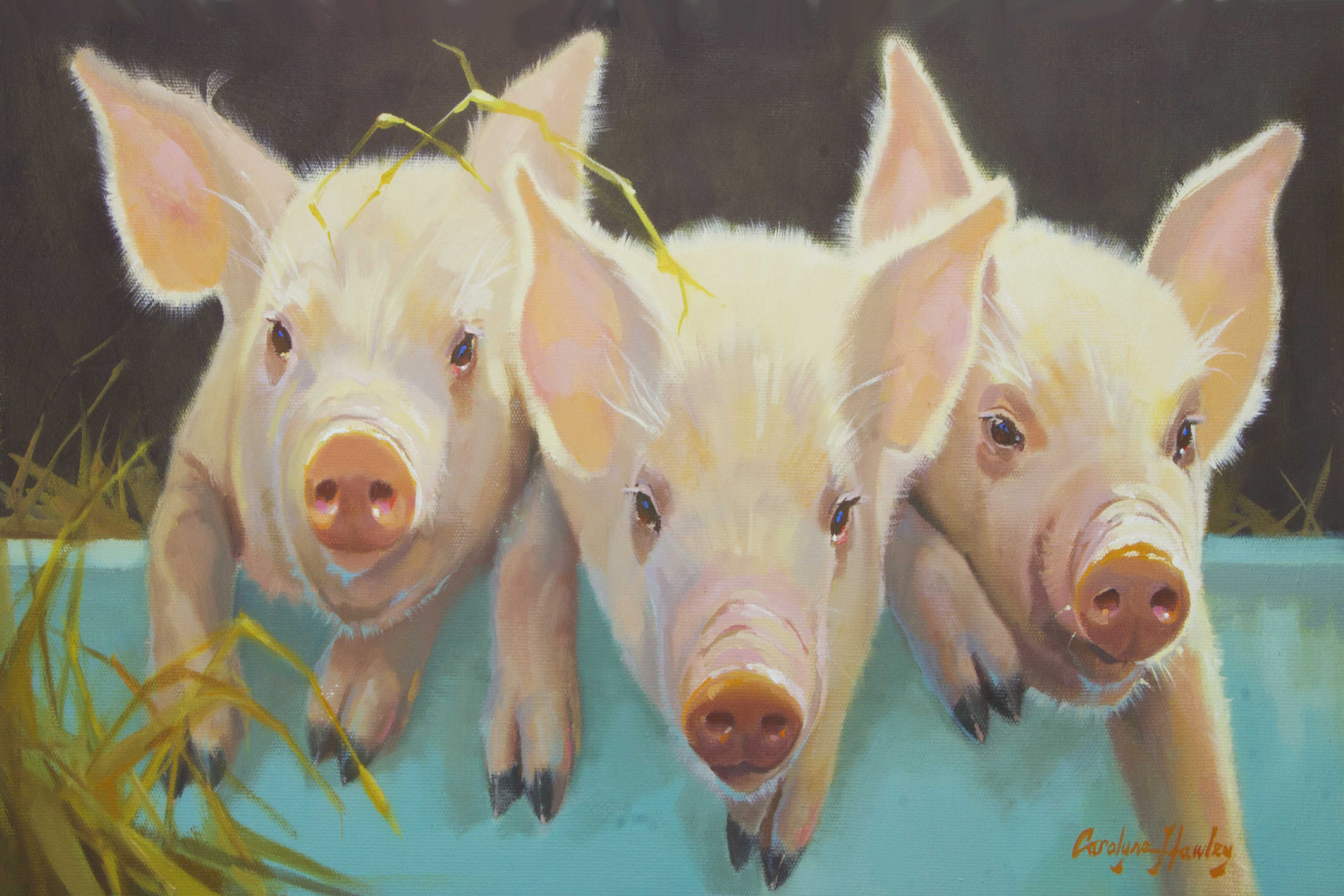 Rosalind Wheeler Life As A Pig I - Wayfair Canada