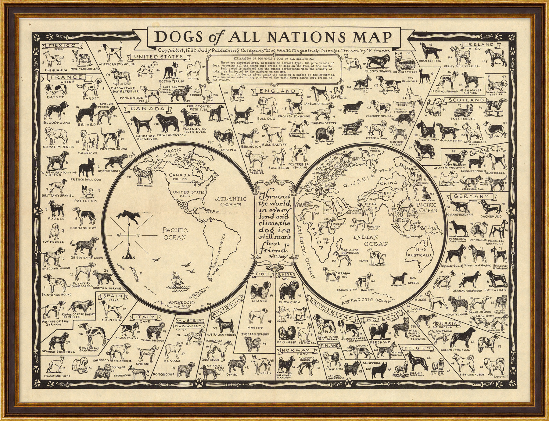 Wendover Art Group Dogs of All Nations Map - Picture Frame Graphic Art ...