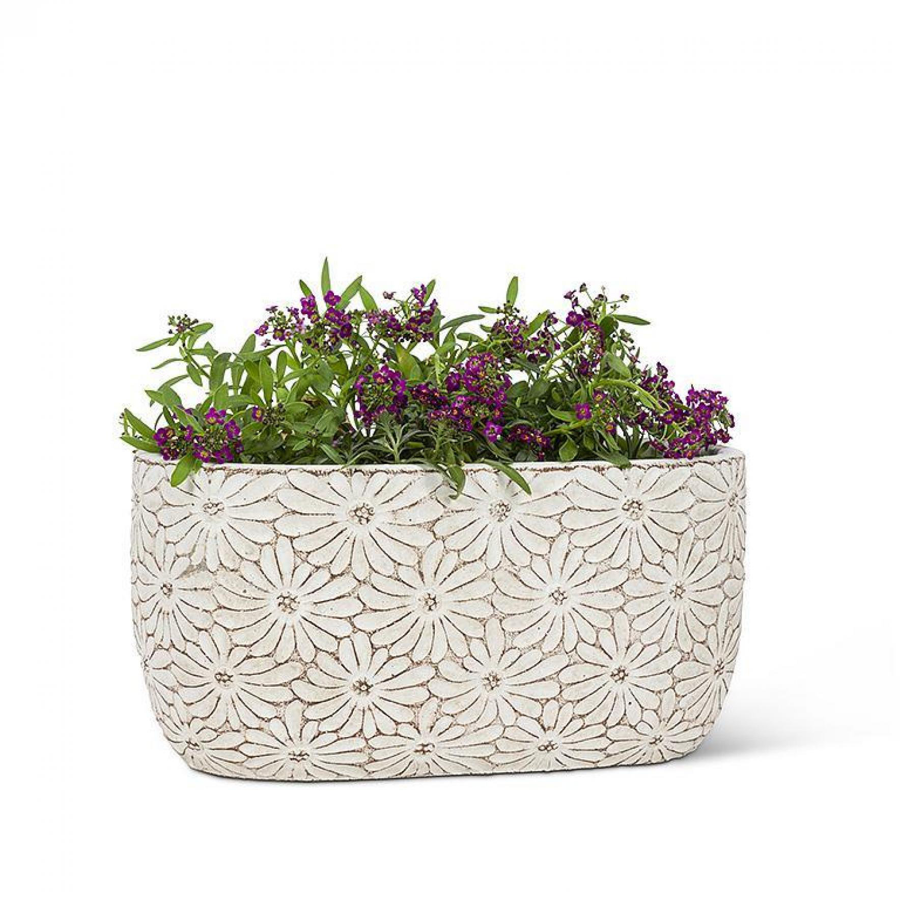 Ophelia & Co. Daisies Print Oval Planter | Wayfair