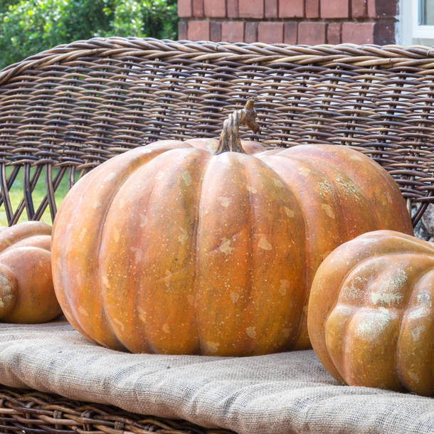 The Holiday Aisle® Standing Flat Pumpkin Figurine & Reviews | Wayfair
