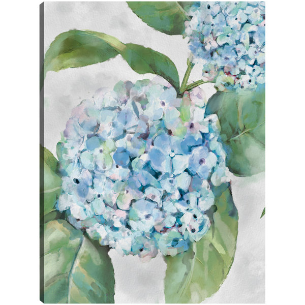 Red Barrel Studio® Hydrangea Portraits I by Studio Arts Canvas Art ...