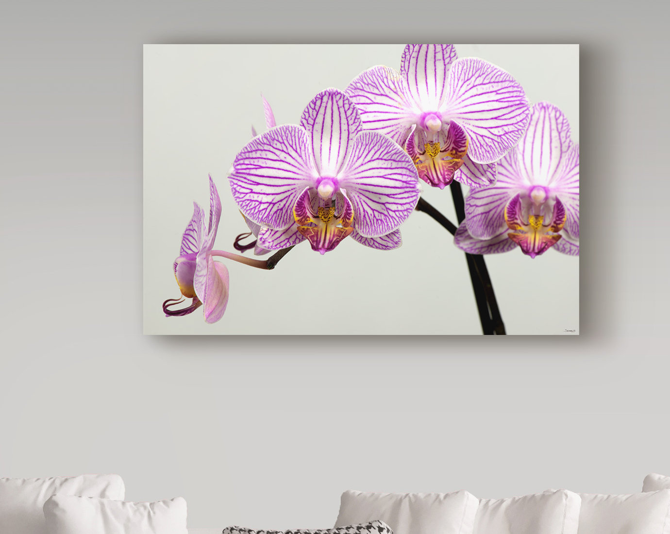 Hokku Designs Ailbe 'Orchid Group' Graphic Art Print on Wrapped Canvas ...